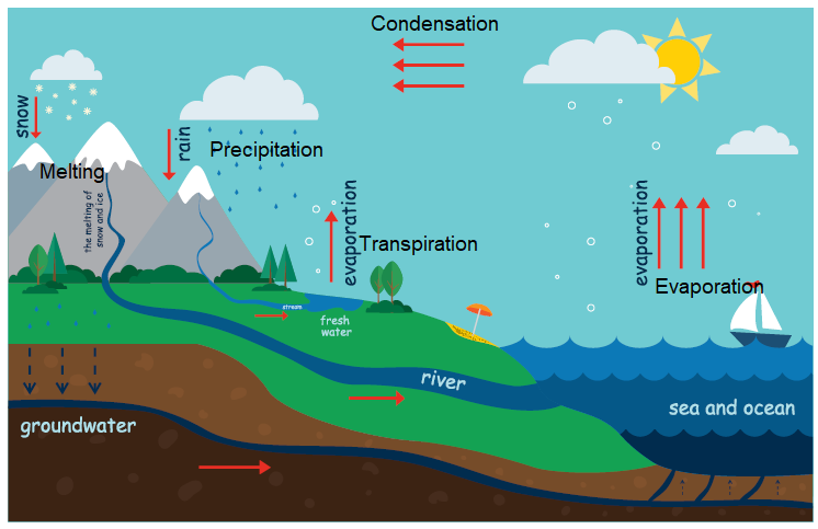 Junior Cert. Science EDCO Sample C: Q7