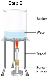 Junior Cert. Science EDCO Sample C: Q13