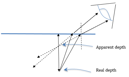 Leaving Cert. Physics (Higher) 2019: Section B Q12 (c)
