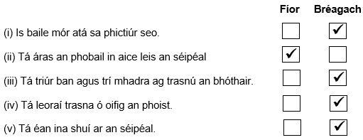 Junior Cycle Irish (Ordinary) EDCO Sample B: Q5