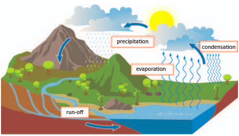 Junior Cert Geography (Common) Edco Sample B Q6
