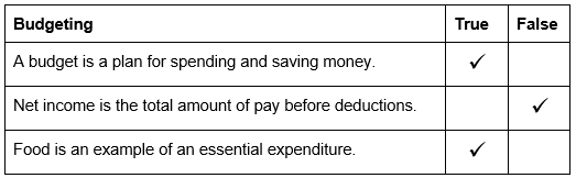 Junior Cert Home Economics (Common) SEC Sample Q3