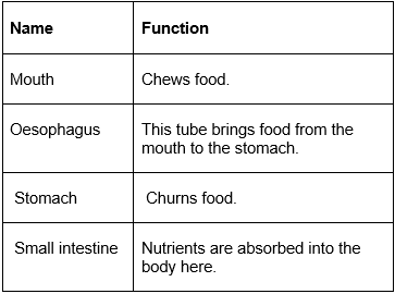 Junior Cycle Home Economics (Common) Sample B Q12